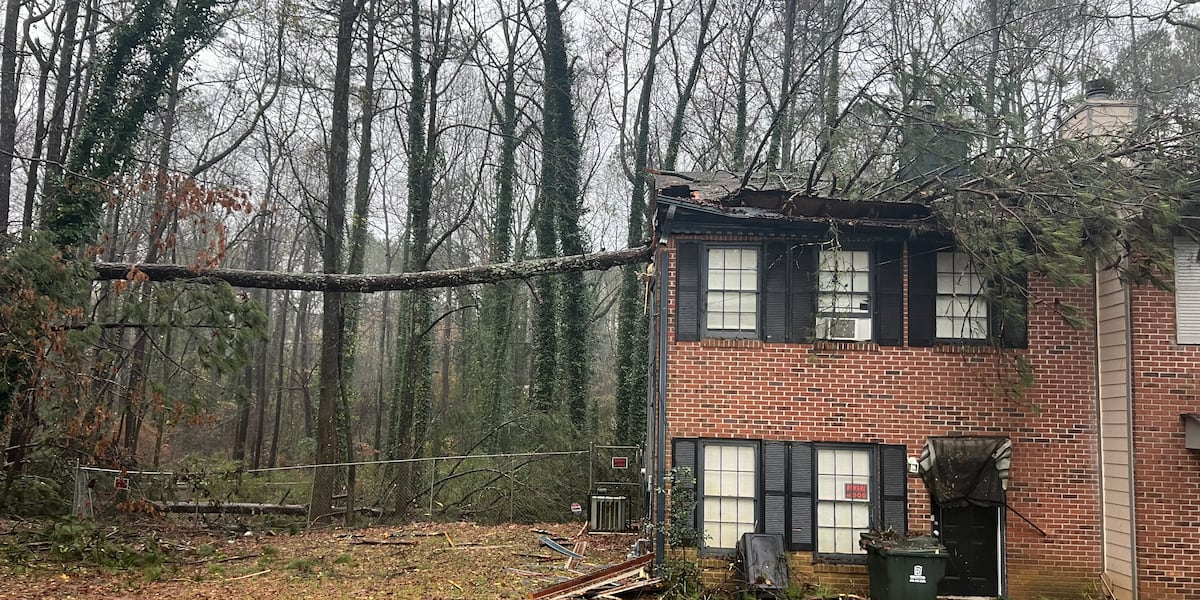 Strong overnight storms leave downed trees, power outages across metro ... Strong overnight storms leave downed trees, power outages across metro ...