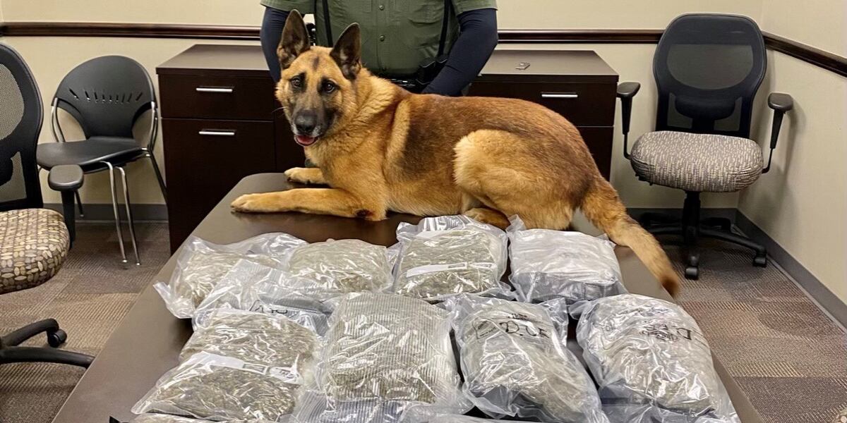 Coweta County Sheriffs Office K 9 Retires After More Than 6 Years Of